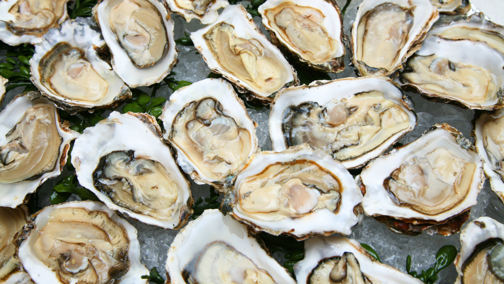 Oyster meat store